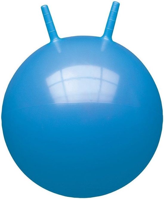 Skippybal 55-60 cm - Blauw | bol.com