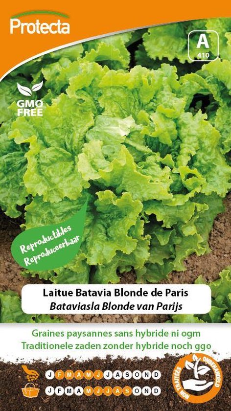 Protecta Groente zaden: Bataviasla Blonde van Parijs | bol