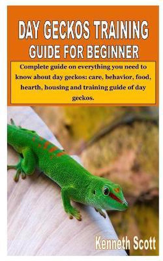 Day Geckos Training Guide for Beginner: Complete guide on everything ...