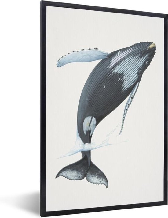 Fotolijst incl. Poster - tekening van de onderkant van een walvis ...