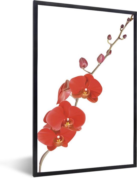 Fotolijst incl. Poster - Een vector tekening van een rode orchidee ...