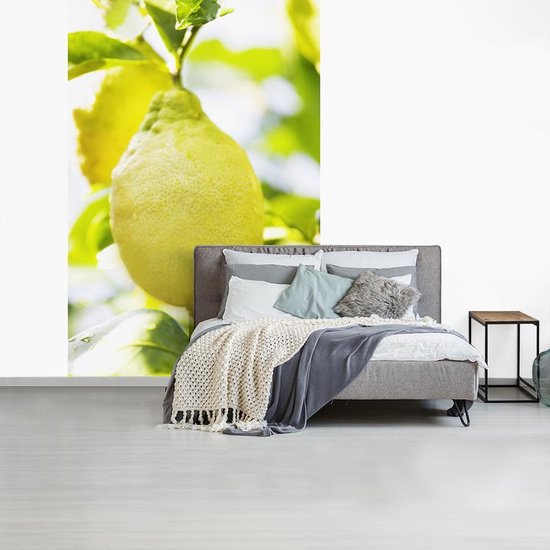 Behang - Fotobehang - Lichte foto van de citroen hangend aan een tak ...