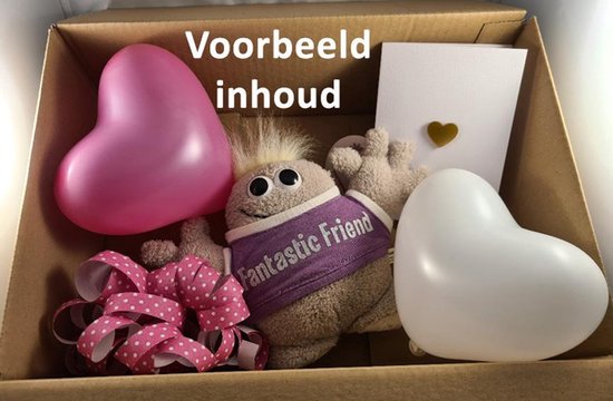 Hugmeez Knuffel Little HUG | bol.com