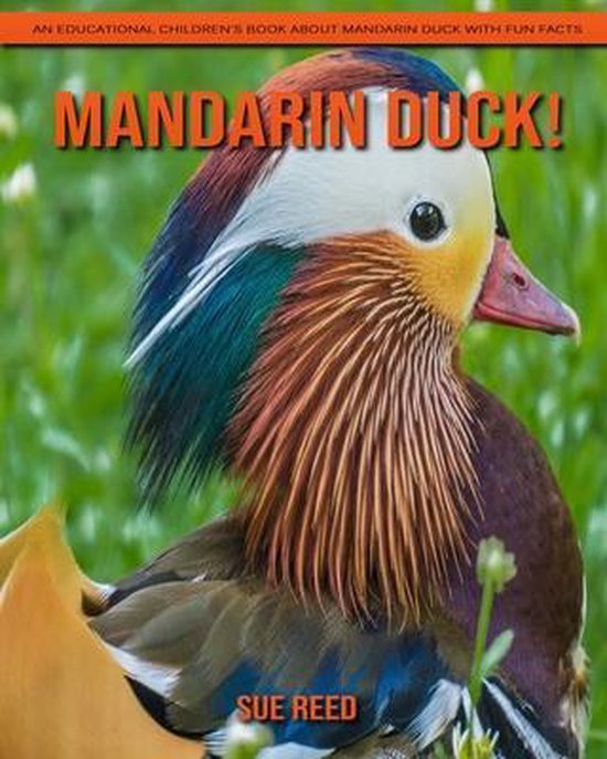 Mandarin Duck! An Educational Children's Book about Mandarin Duck with ...