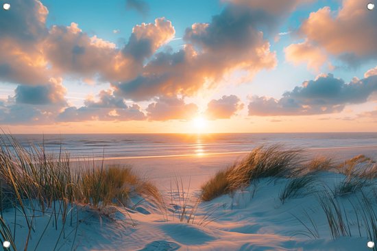 Zonsondergang poster - Natuur posters - Tuinposters Zee - Posters ...