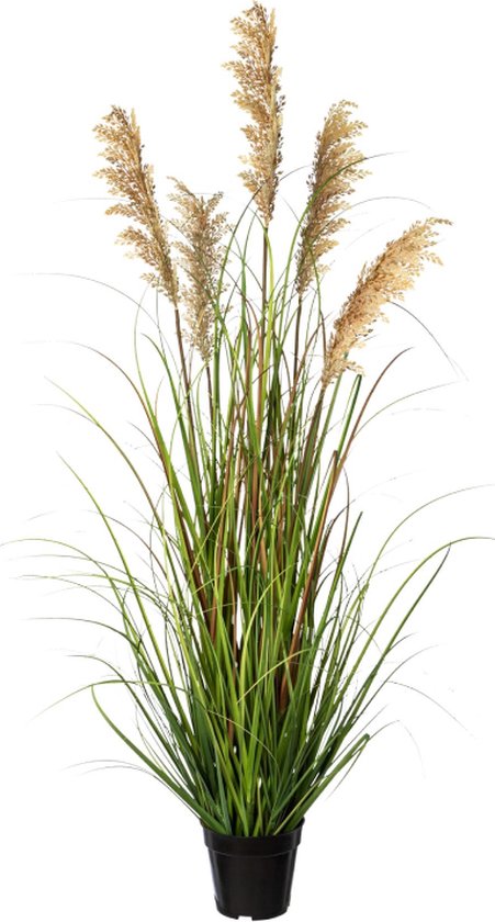 Goodplants Gierst kunst siergras - 122cm - Kunstplanten voor binnen ...