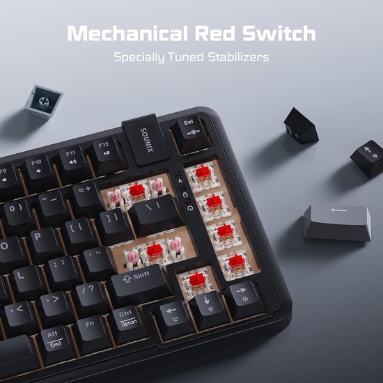 Sounix Gaming toetsenbord - 75% mechanisch - 82 toetsen - RGB - US ...