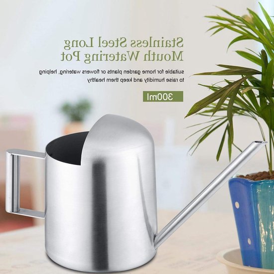 300/500 ml RVS gieter voor buiten met lange mond - klein strooipot ...