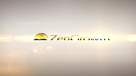 ZenGrowth® Economy Massagetafel Zwart – Inklapbaar – Breedte 70 tot 95 cm – Hoogte 57... | bol