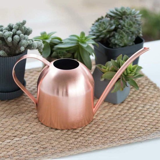 Metaal gieter voor kamerplanten - 500 ml mini gieter voor kleine woning ...