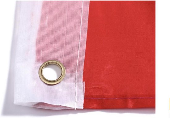 Pride Flag - Colourful Pride Progress Flag - 90x150 cm - 100% Polyester ...