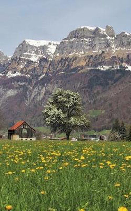 Notebook, Wild Pages Press | 9781690645931 | Boeken | bol.com