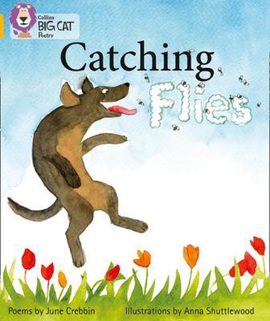 Catching Flies | 9780007461813 | June Crebbin | Boeken | bol.com