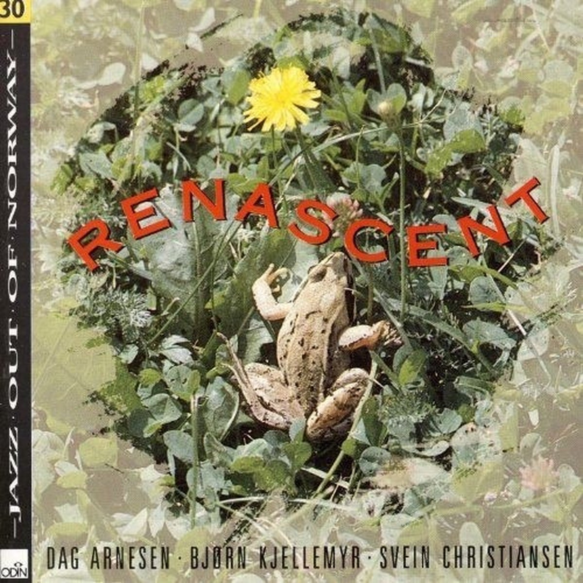 Dag Arnesen Trio - Renascent (CD), Svein Christiansen | CD (album) | Muziek | bol