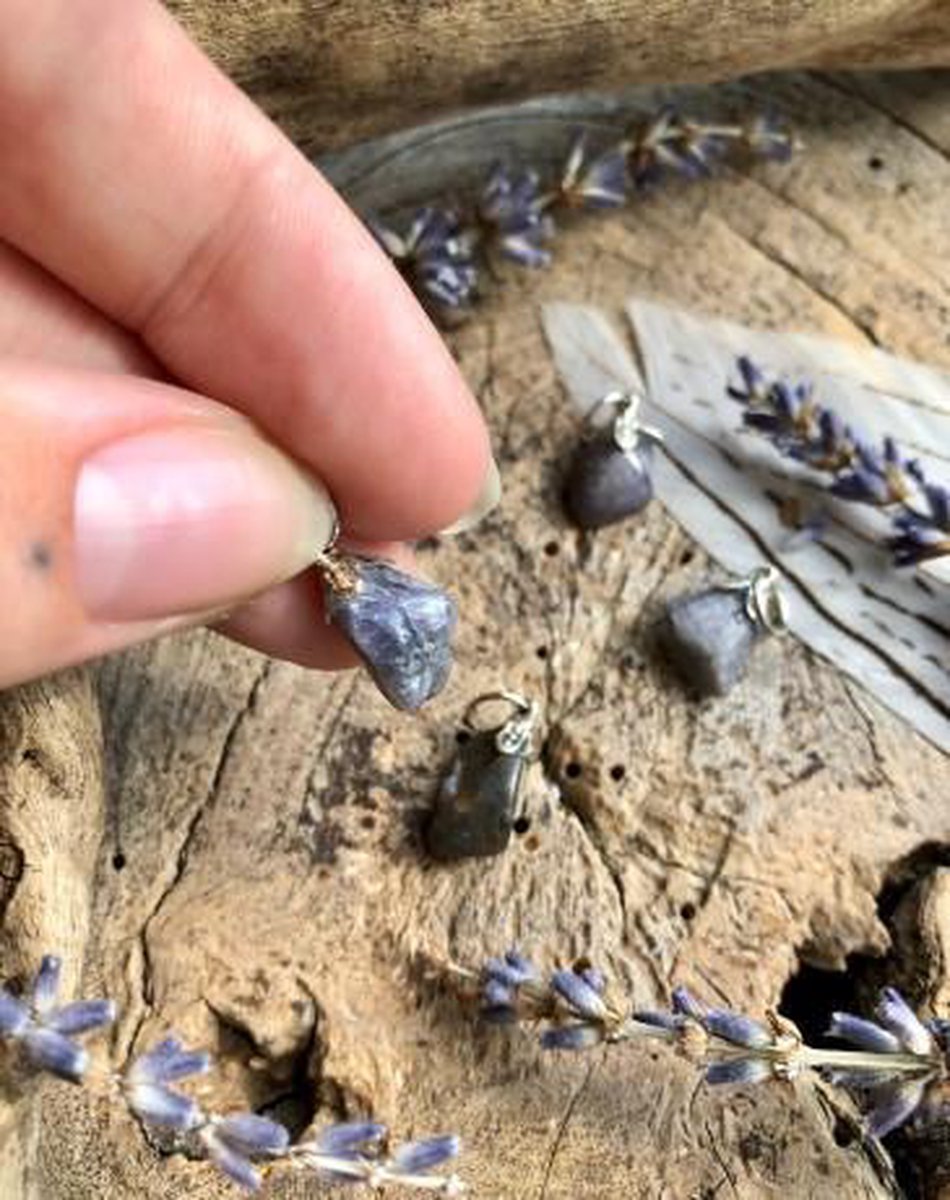 Ruben Robijn Tanzaniet edelsteen hanger | bol