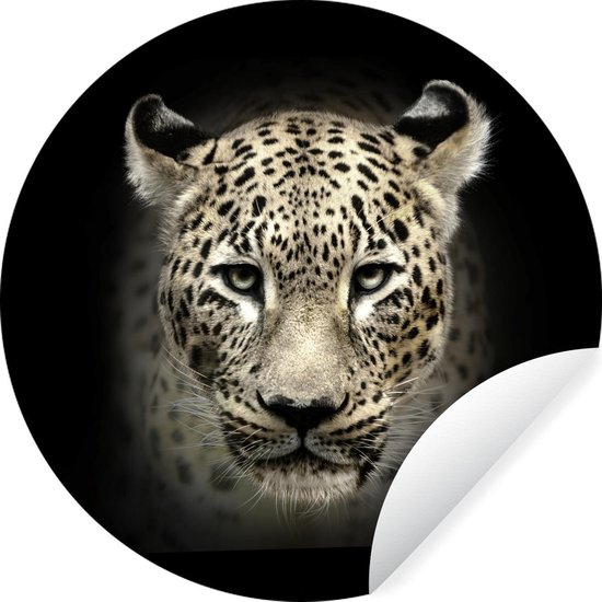 WallCircle - Muurstickers - Behangcirkel - Luipaard - Zwart - Dieren - 50x50 cm -... | bol