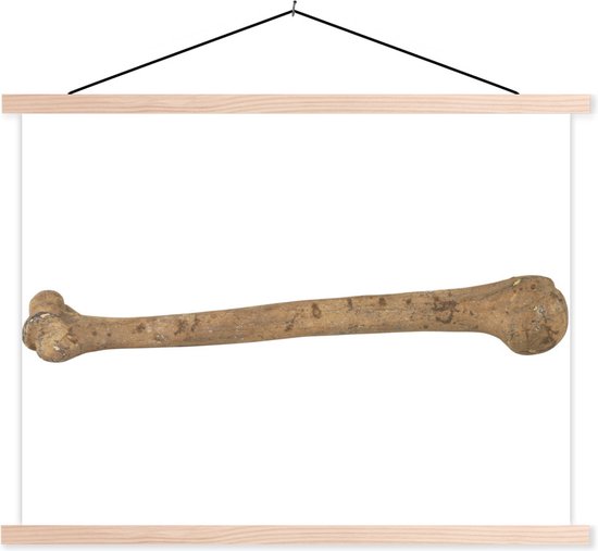 Posterhanger incl. Poster - Schoolplaat - Een oud menselijk dijbeen bot ...