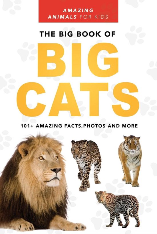 Animal Books for Kids 1 - The Big Book of Big Cats (ebook), Jenny ...