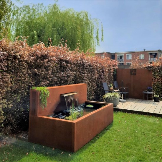 Estani Cortenstaal Vijver Lengte: 1000 Hoogte: 500 | bol