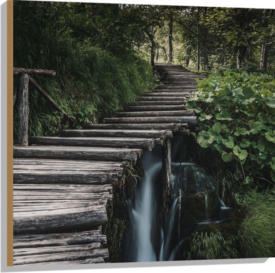WallClassics - Hout - Houten Trap in Bossen - 80x80 cm - 12 mm dik ...