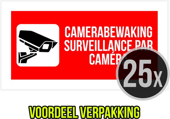 Pictogram Polystyreen | "Camerabewaking/ Surveillance par caméra ...
