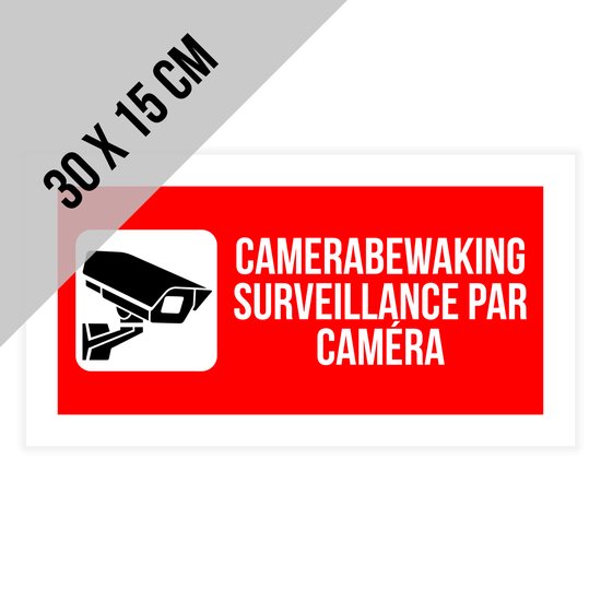 Pictogram Polystyreen | "Camerabewaking/ Surveillance par caméra ...