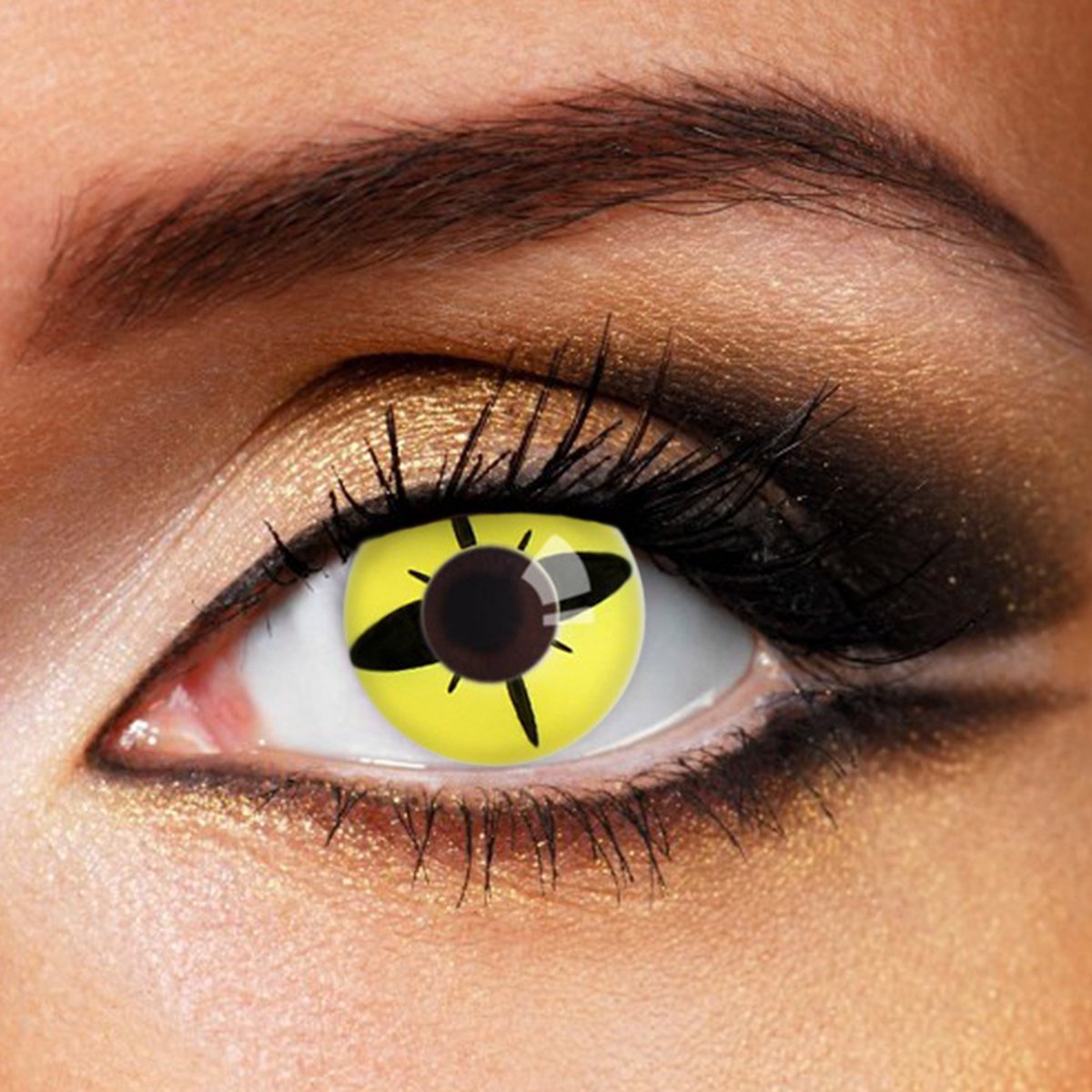 Partylens® - Rotary - lentilles annuelles avec porte-lentilles ...