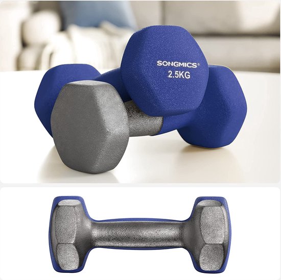 Korte halters, set van 2, 2,5 kg, krachttraining, thuis, op kantoor ...