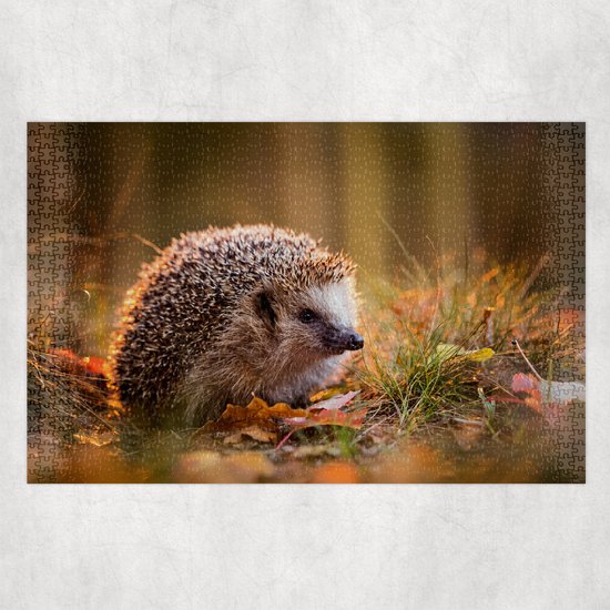 Puzzel - Egel Herfst - 1000 stukjes | bol.com