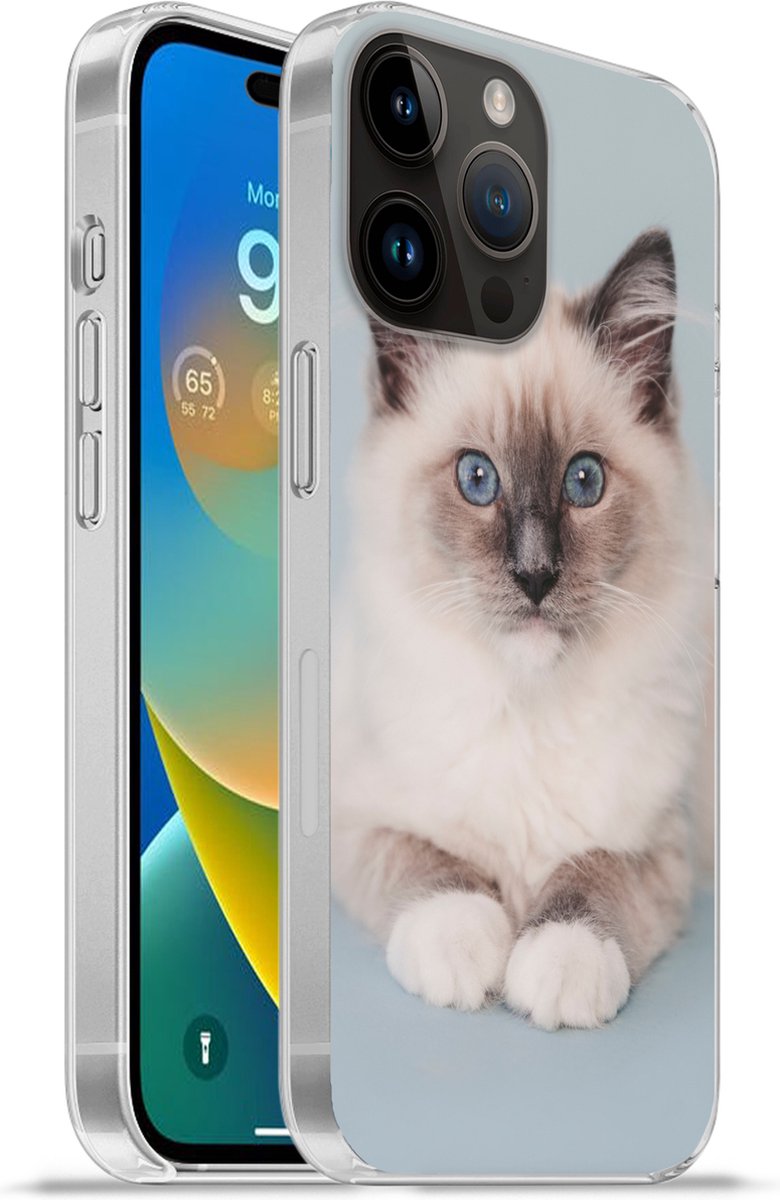 Apple iPhone 14 Pro Max hoesje - Kat - Ragdoll Kat - Blauw - Meisjes ...