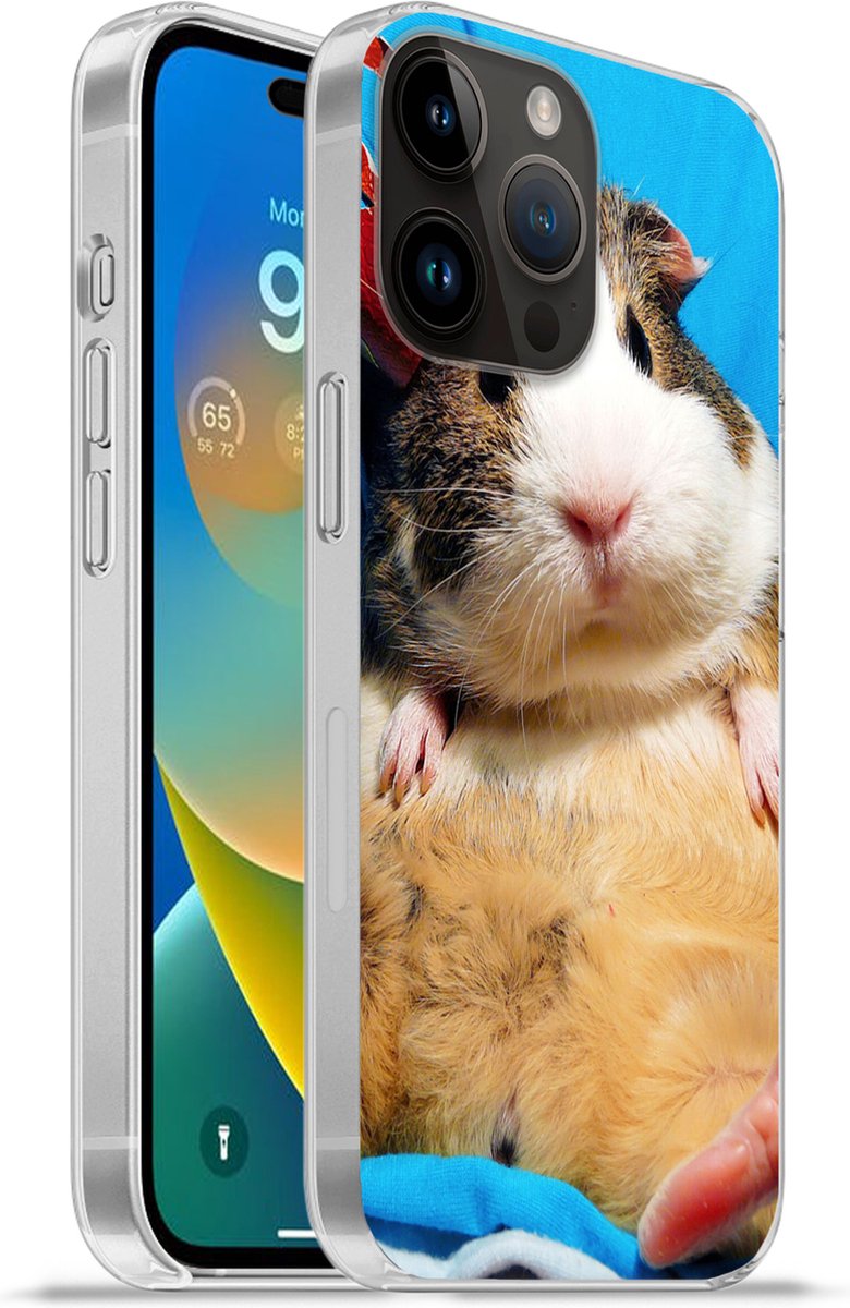 Apple iPhone 14 Pro Max hoesje - Cavia - Grappig - Kroon - Kinderen ...