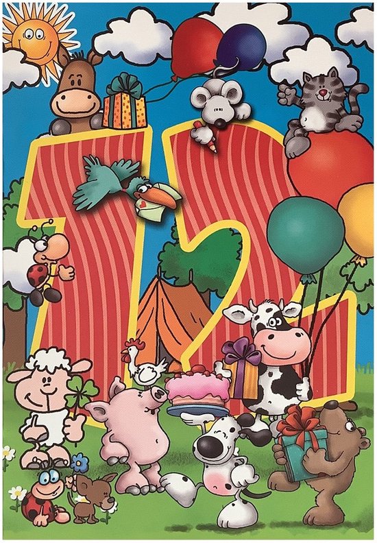 Verjaardagskaart 12 Jaar - Wenskaart Verjaardag - Kaart 12 Jaar | bol.com