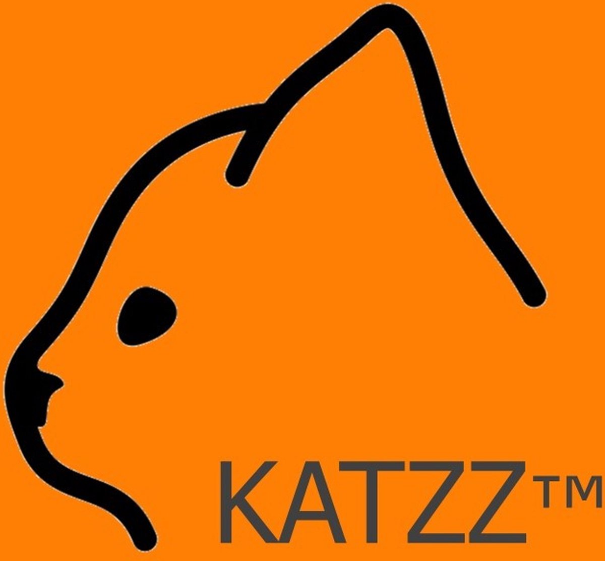 KATZZ™ geurverdrijver voor kattenbak | bol.com