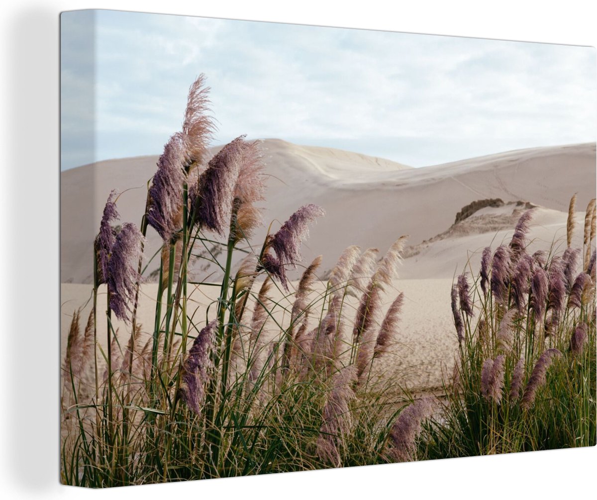 Canvas Schilderij Pampasgras - Zand - Planten - Duin - 140x90 cm - Wanddecoratie | bol.com