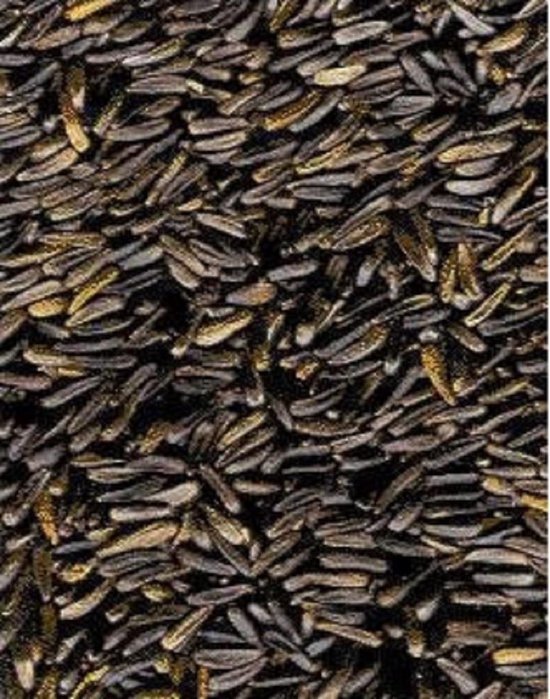 Vogelvoer 18 kg | Konacorn Negerzaad | bol