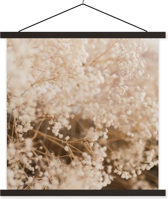 Posterhanger incl. Poster - Schoolplaat - Pampasgras - Plant - Natuur ...