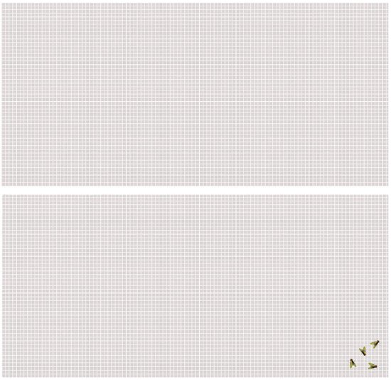 Moustiquaire pour fenêtre - 2x - blanche - 2,2 x 0 75 - toile anti ...