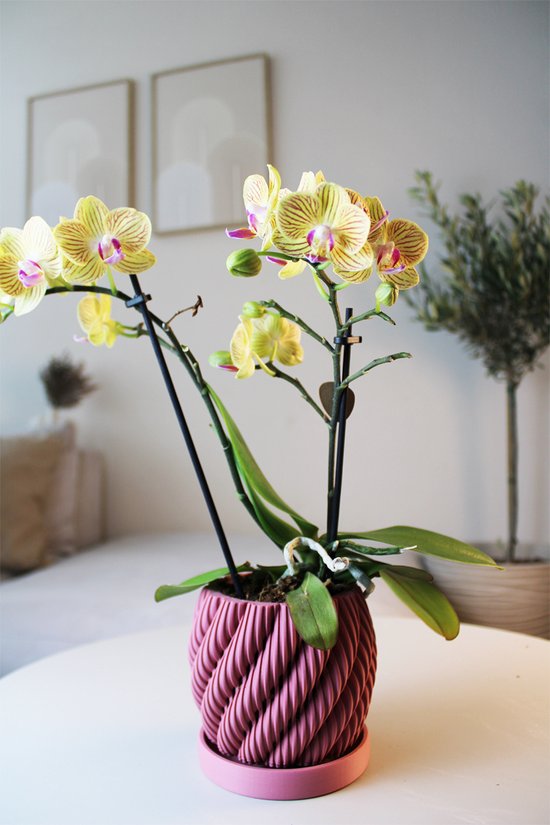 orchidee pot – Ø11 cm opening | bol