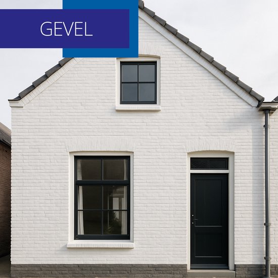 Ruwol Betonverf Standaard Wit 2,5 liter - Voor binnen en buiten - Alle ...