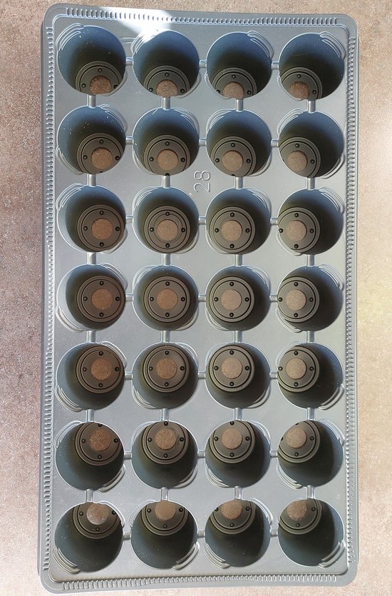 Zaai stek kweek tray 28 gaats 5 stuks in een doos | bol