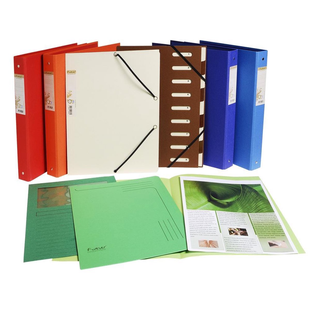 25x FOREVER® bedrukte L-mappen 290g/m² 22x31cm voor A4, Geassorteerd ...