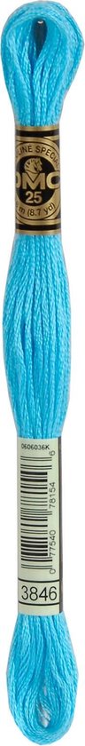 DMC Borduurgaren-3846 Aqua | bol