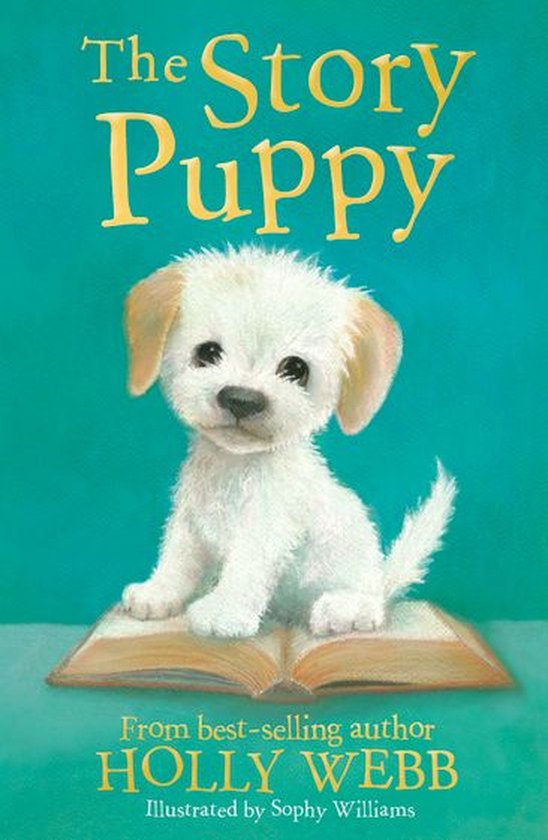 Holly Webb Animal Stories 45 - The Story Puppy (ebook), Holly Webb ...