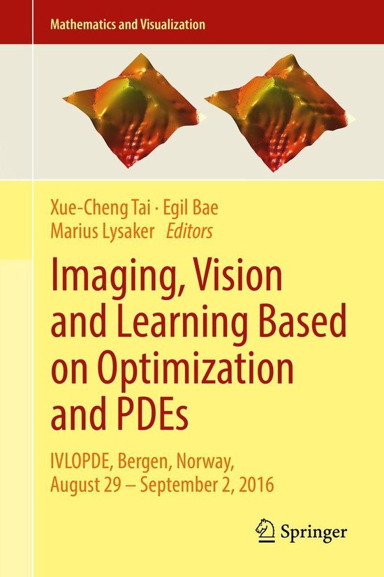 Mathematics and Visualization - Imaging, Vision and Learning Based on ...