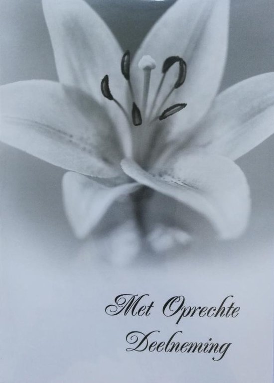 Condoleance kaarten Set van 20 L-141 | bol.com