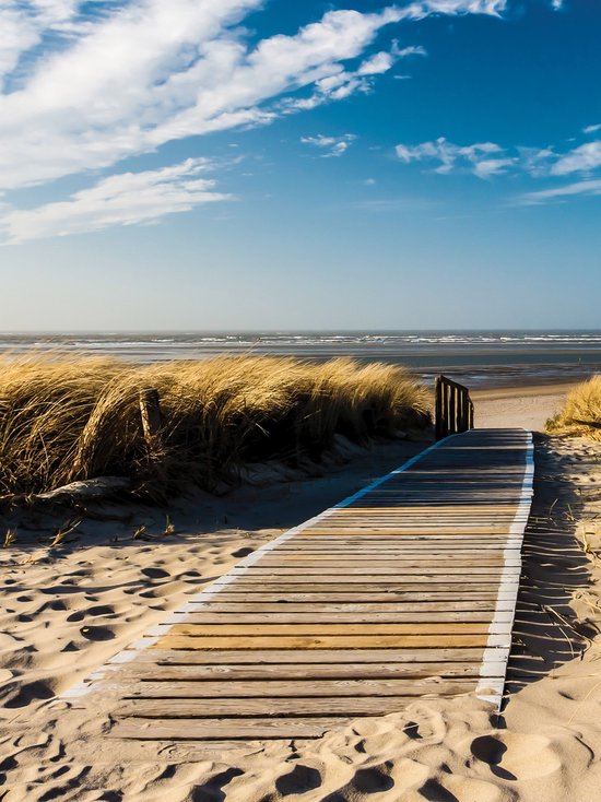 Beach Scene Photo Wallcovering | bol.com