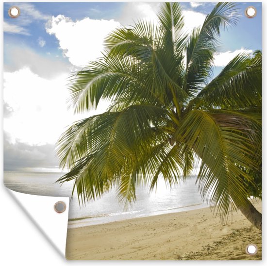 Tuin poster Palmen aan kust - 200x200 cm - Tuindoek - Buitenposter | bol
