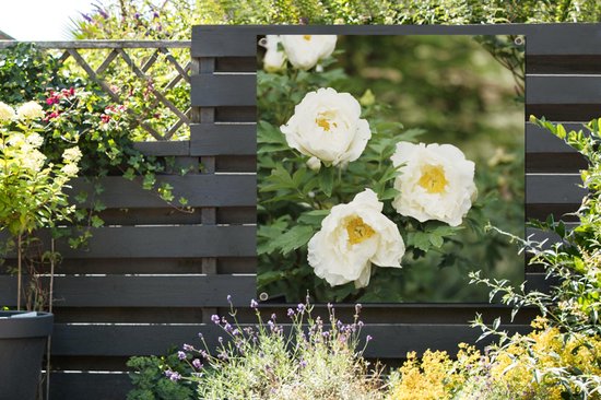Tuin poster Struik met witte pioenrozen - 200x200 cm - Tuindoek ...