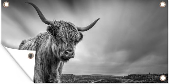 Poster de jardin Vaches - Highlander écossais - Nature - Animaux ...