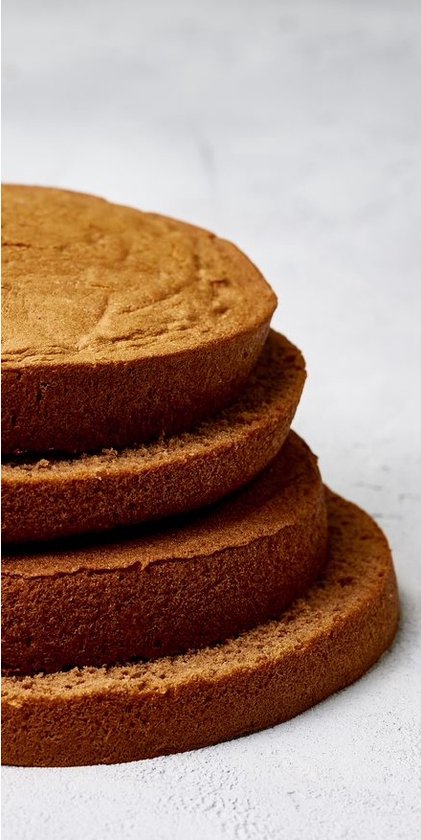 BrandNewCake Chocolade Biscuit-mix 500g | bol